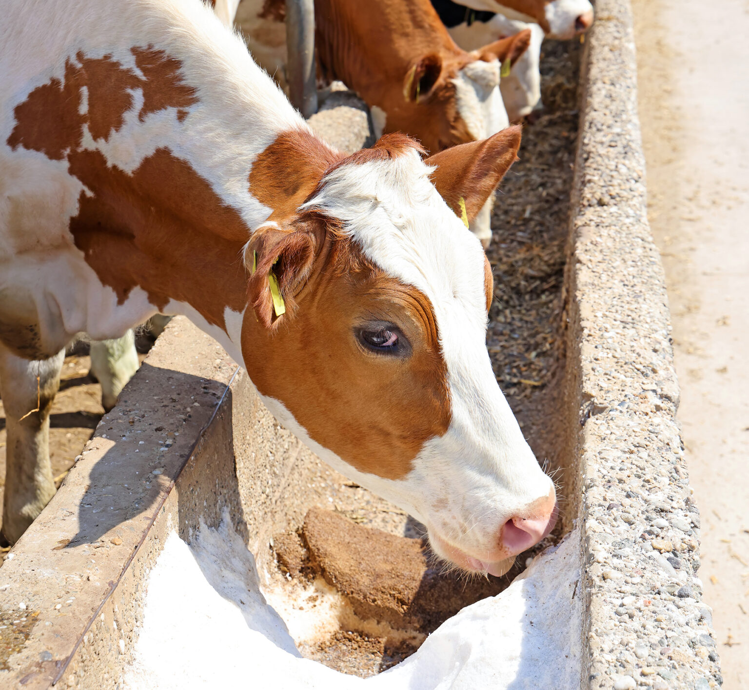 Our Story – Old Mill Feeds